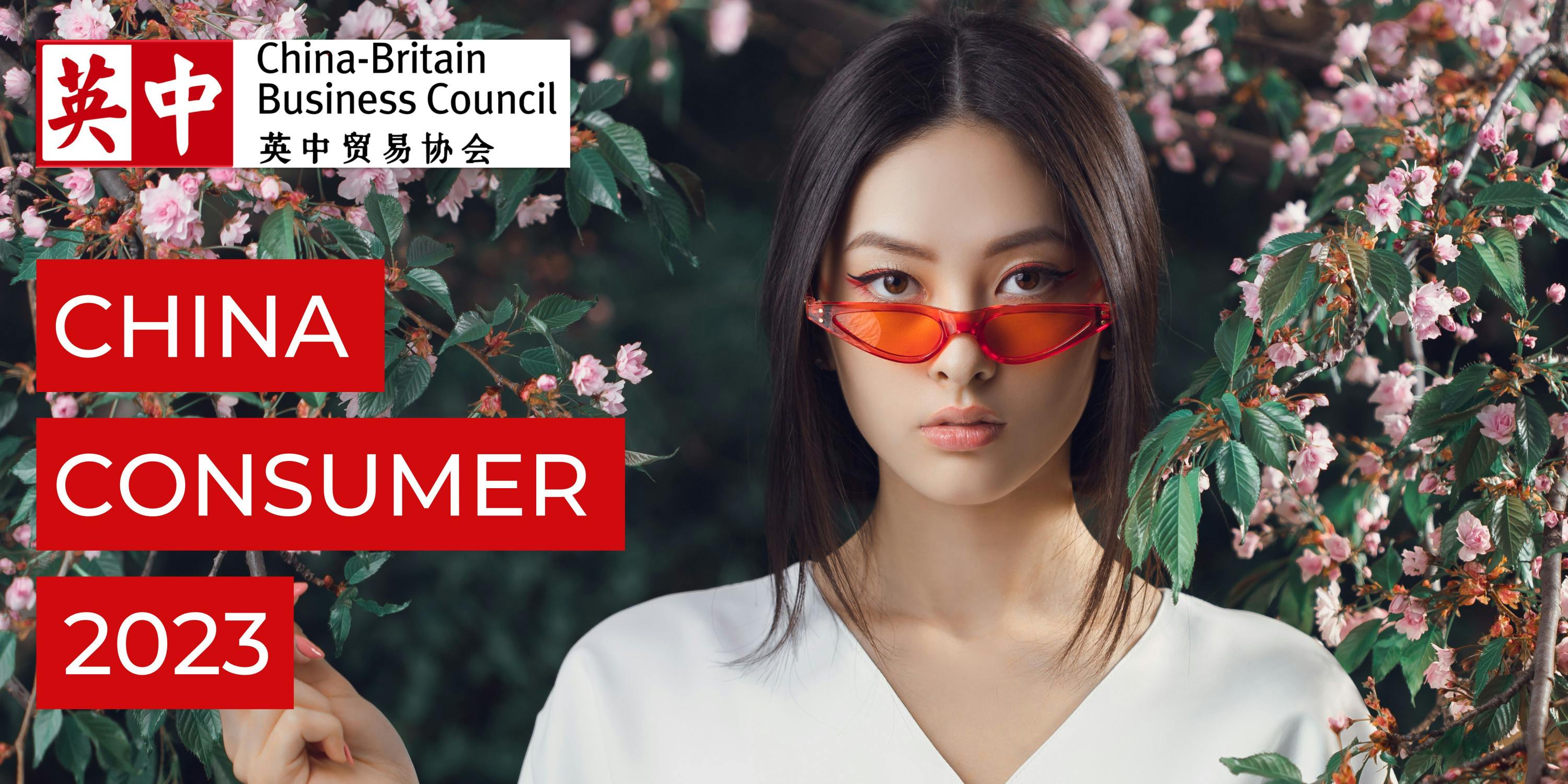 China Consumer 2023